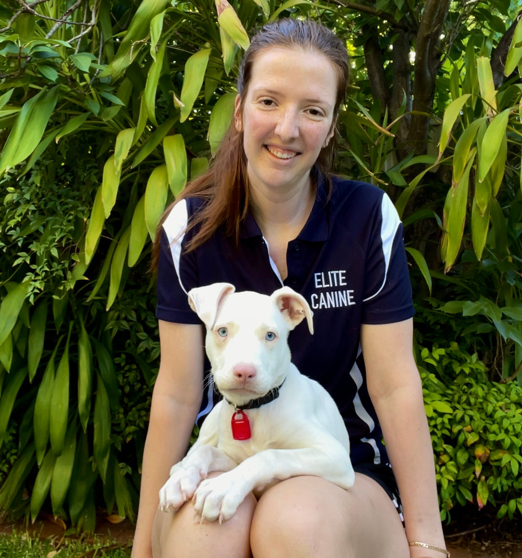 Elite Canine – ELITE CANINE