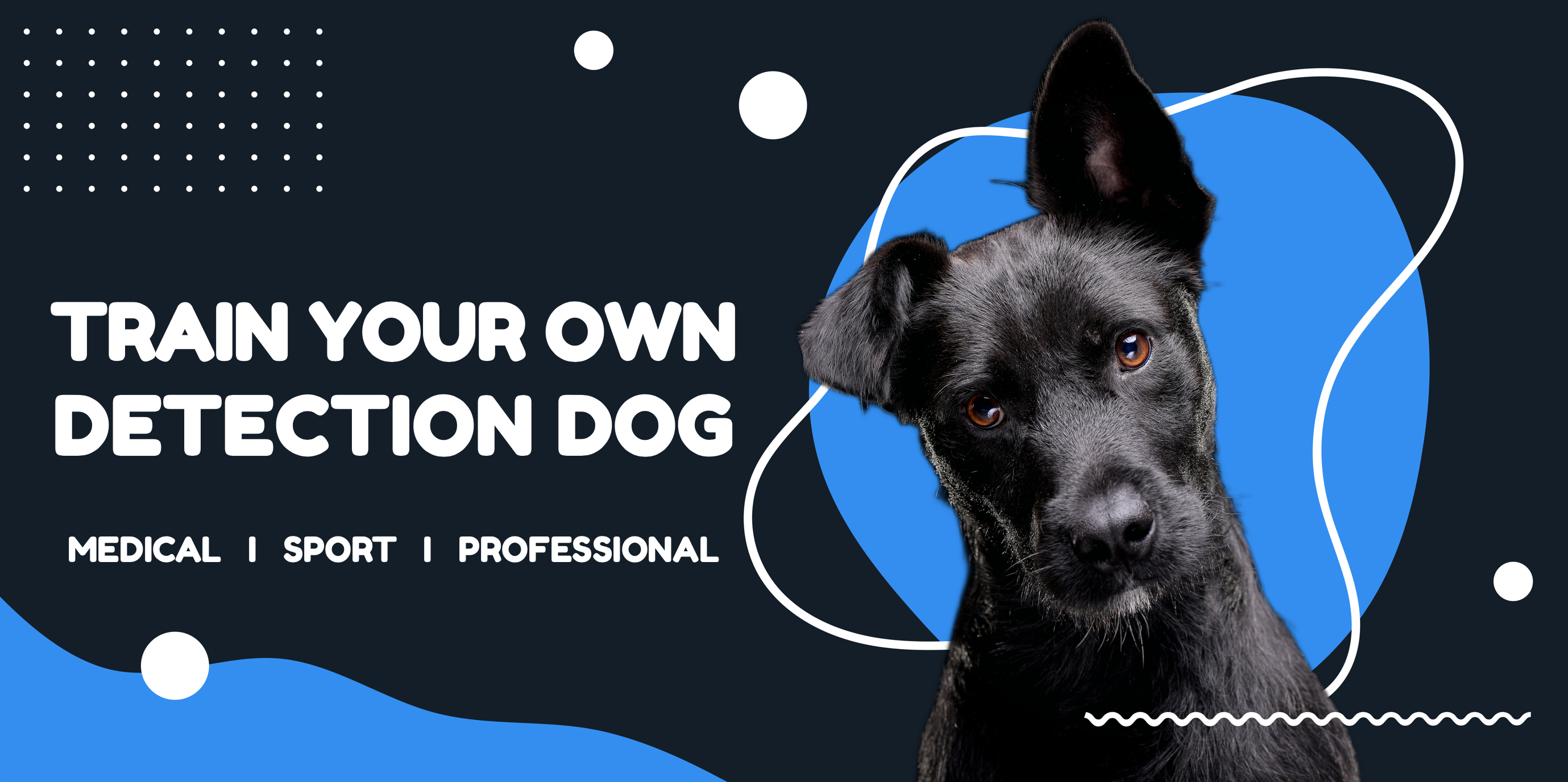 DETECTION TRAINING – ELITE CANINE